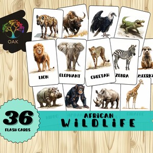 36 African Wild Animal Flashcards Montessori Education for Kids ...