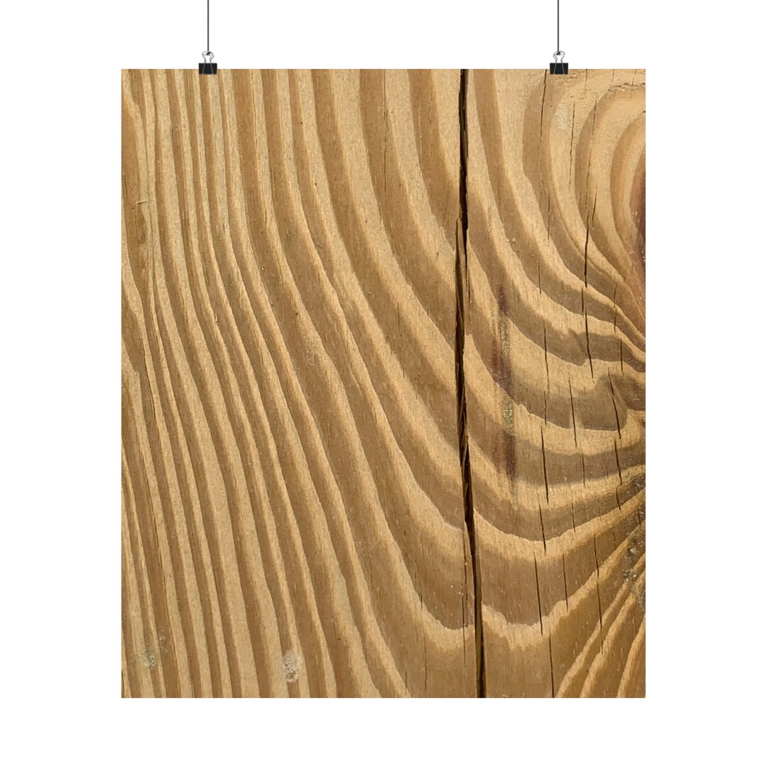 Tree Wood Grain Texture Picture Poster // Outdoor Nature Photograph ...