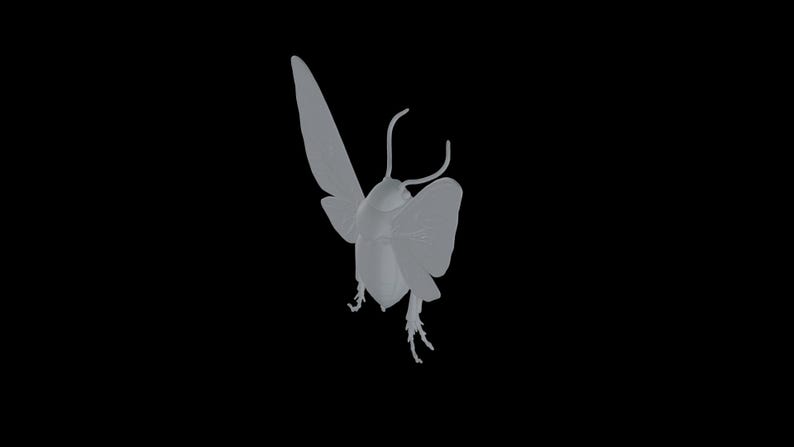 9 Mythical Insects 3d Files for 3d Printers Unique Models - Instant ...