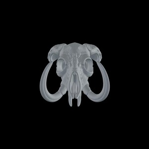 9x Prehistoric Animal Skull 3D Stl Printer Files | Ancient Nature ...