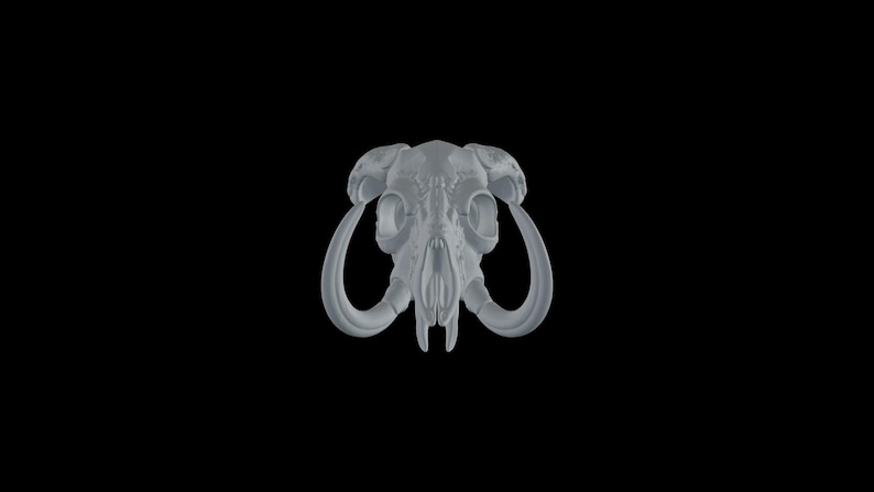 9x Prehistoric Animal Skull 3D Stl Printer Files | Ancient Nature ...