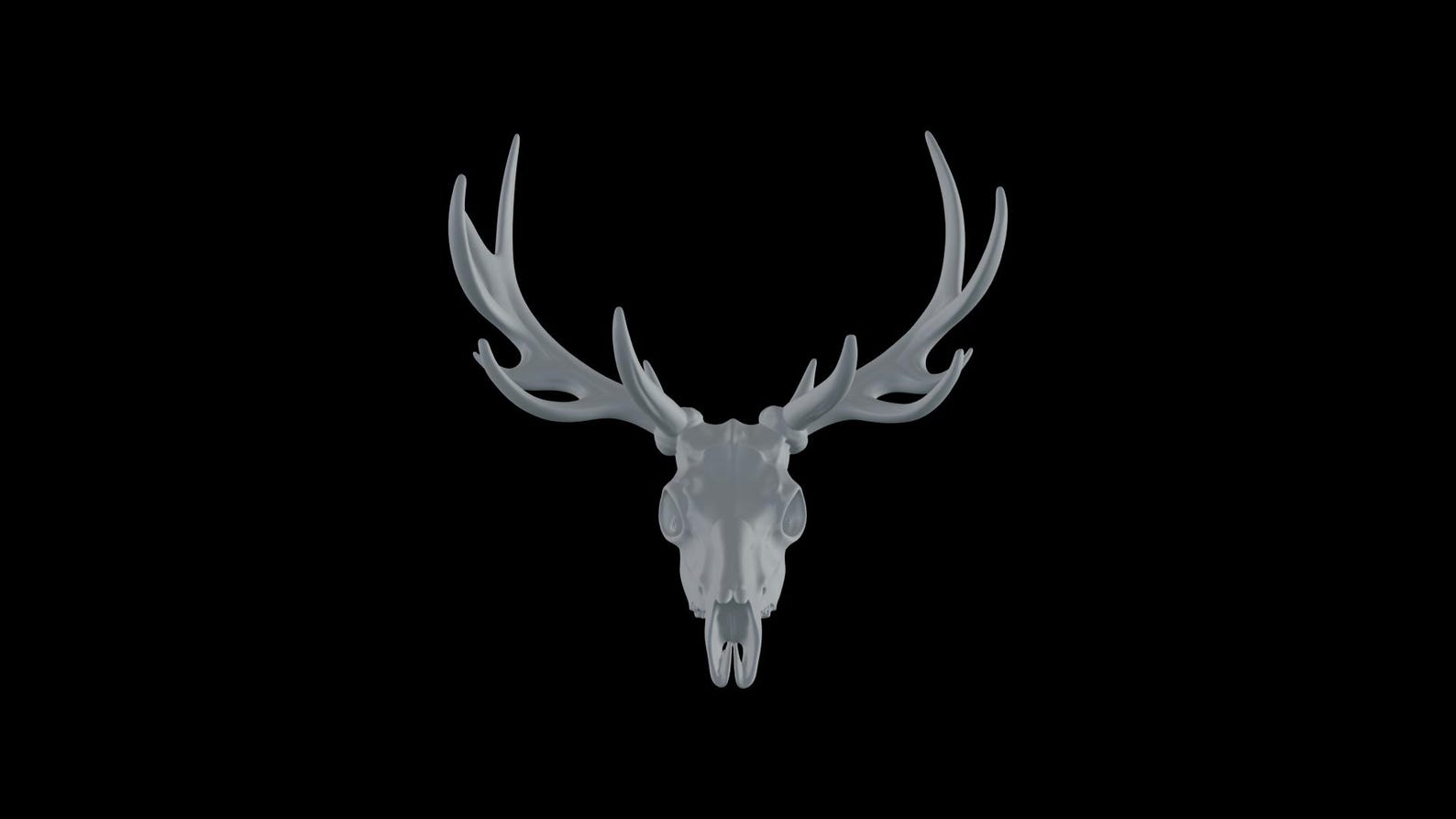 9x Prehistoric Animal Skull 3D Stl Printer Files | Ancient Nature ...