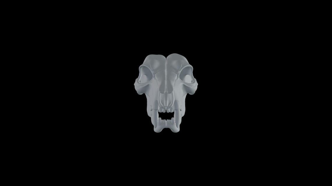 9x Prehistoric Animal Skull 3D Stl Printer Files | Ancient Nature ...