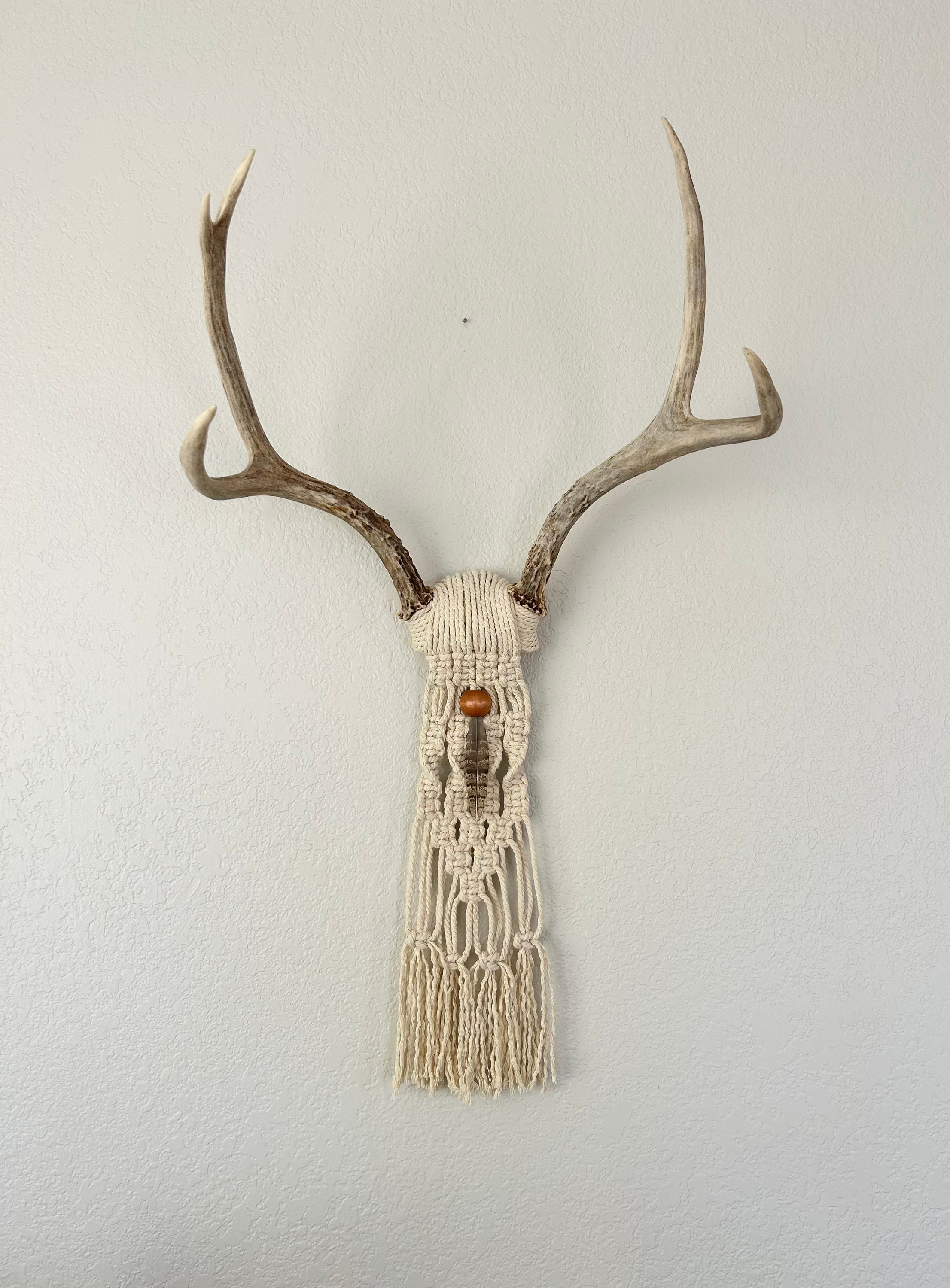 Mule Deer Antler Macrame With Bead and Grouse Feather - Etsy