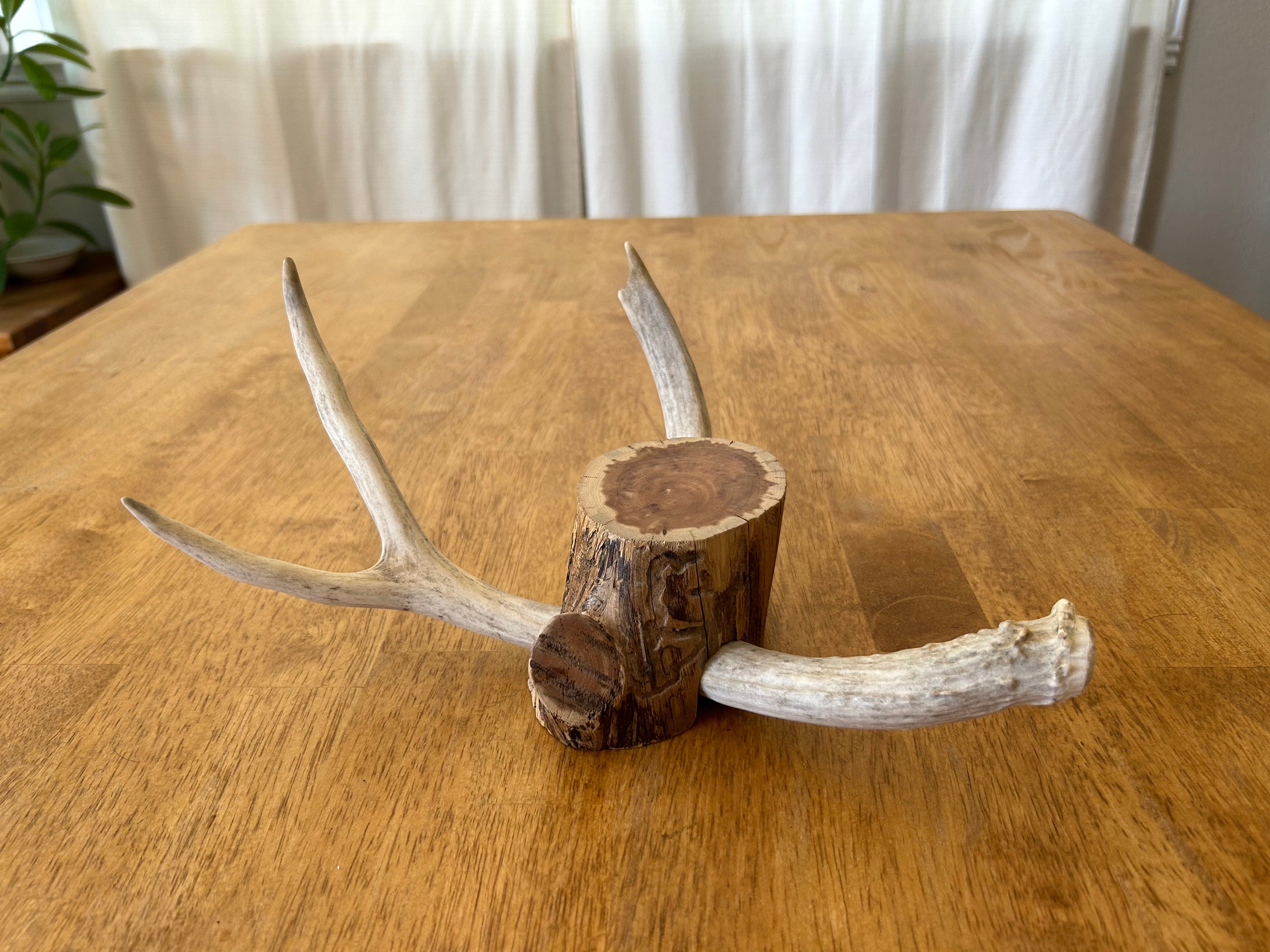 Small Plant Antler Stand - Etsy
