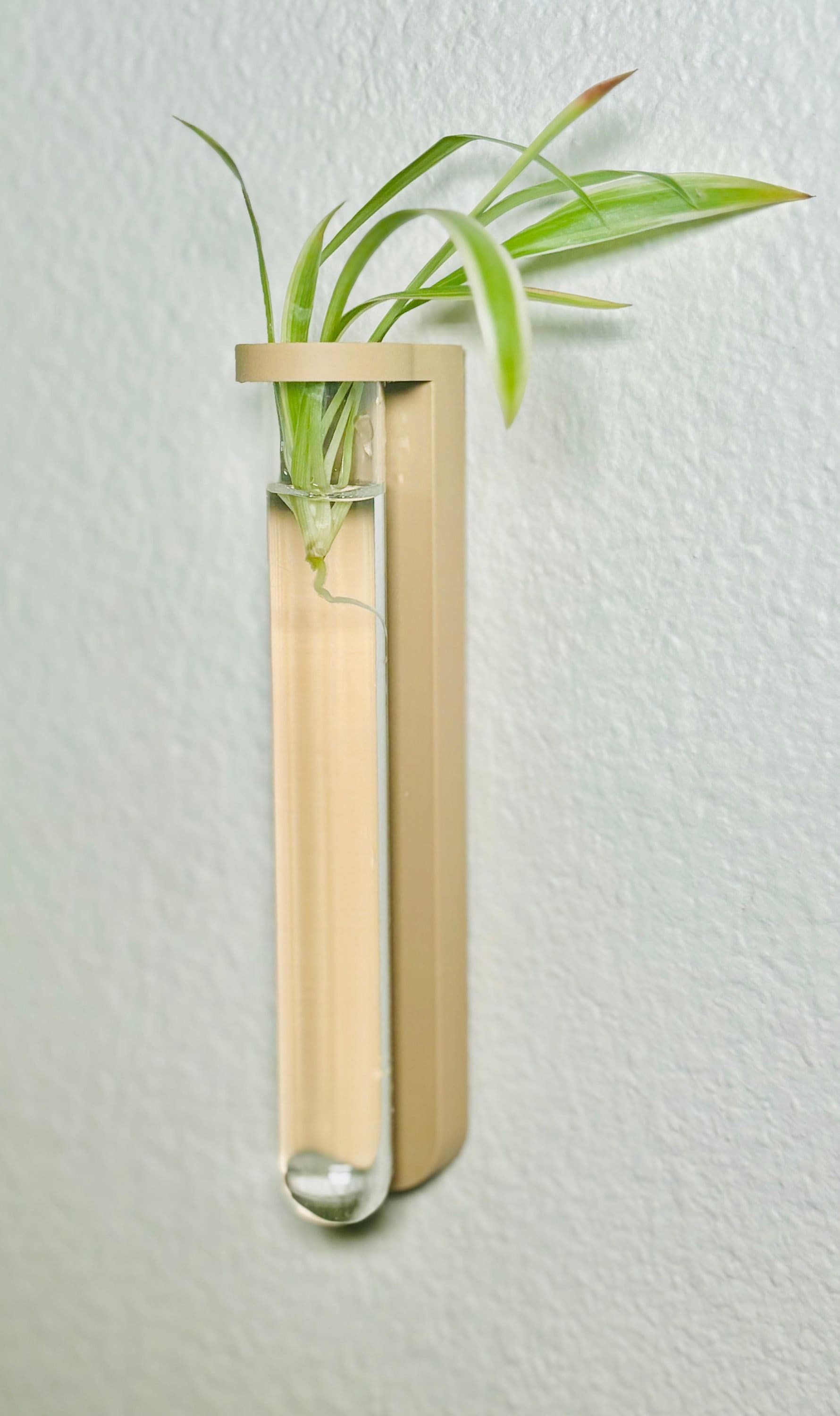 Test Tube Propagation Planter - Etsy