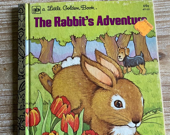 The Rabbits Adventure * A Little Golden Book * Betty Ren Wright ...