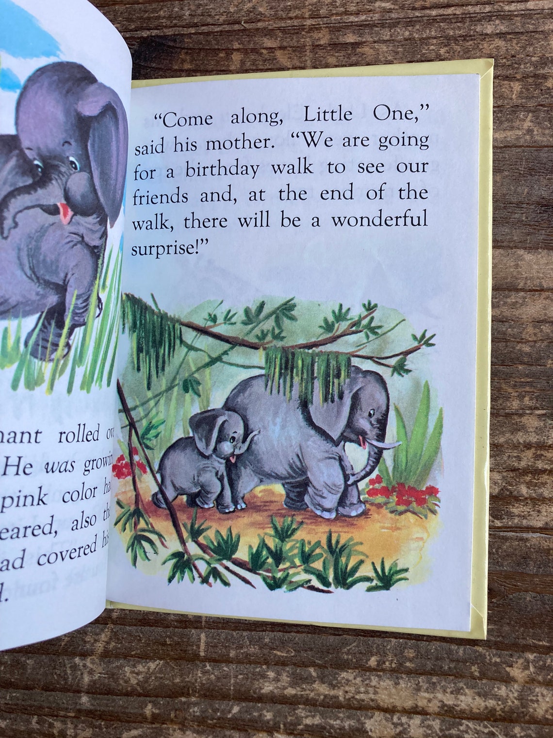 Little Elephant * Junior Elf Book * Jessica Potter Broderick * Lucy ...