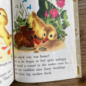 The Fuzzy Duckling A Little Golden Book Jane Werner Alice and Martin ...