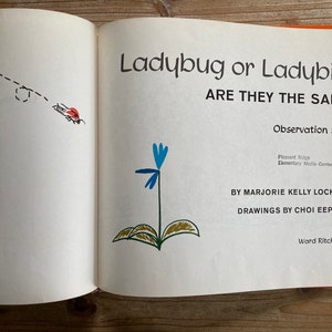 Ladybug or Ladybird * Are They the Same * Observation Series * Marjorie ...