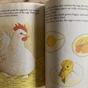 How Things Grow A Book About Nature A Little Golden Book Nancy Buss ...