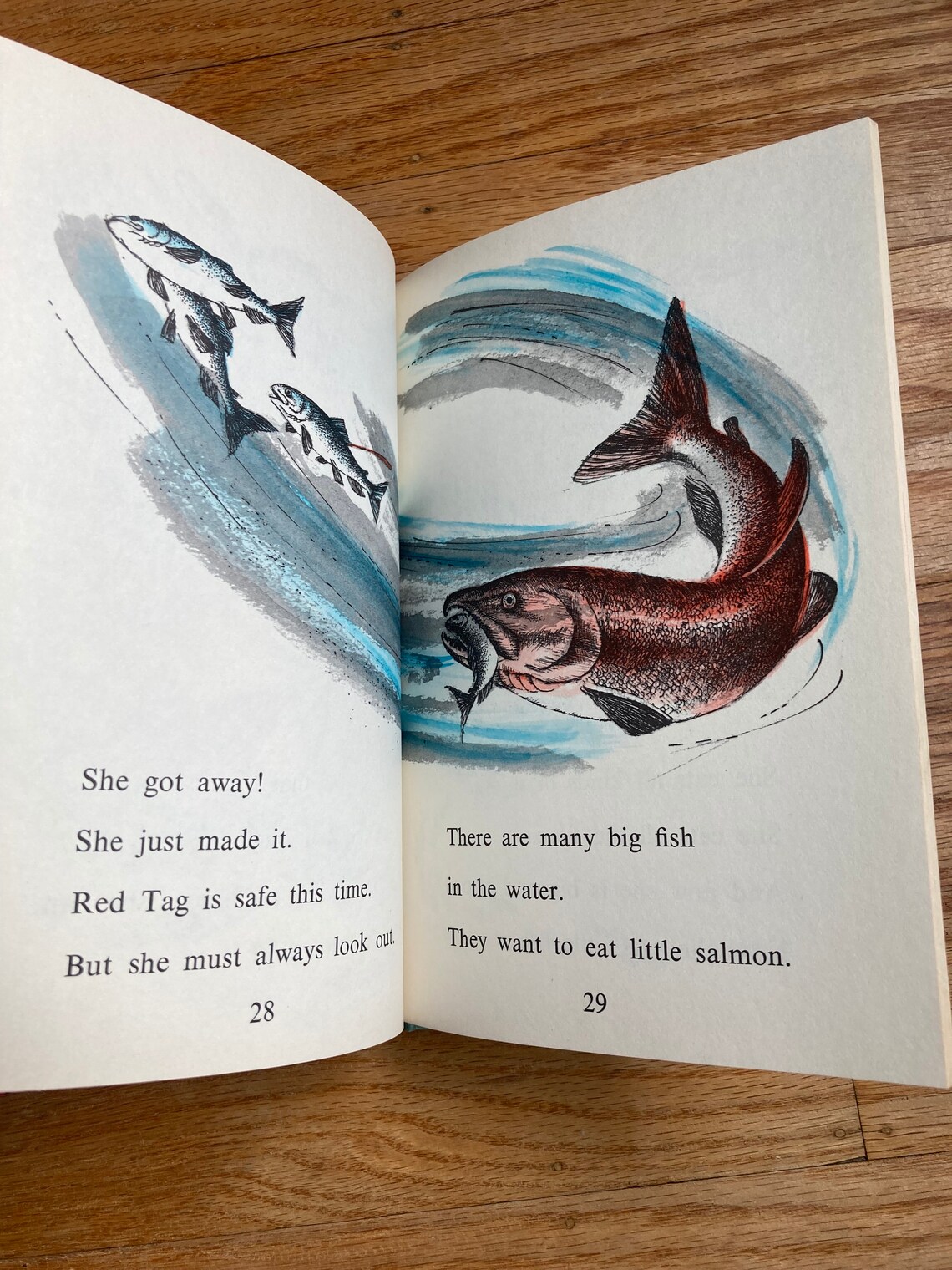 Red Tag Comes Back A Science I Can Read Book Fred Phleger - Etsy