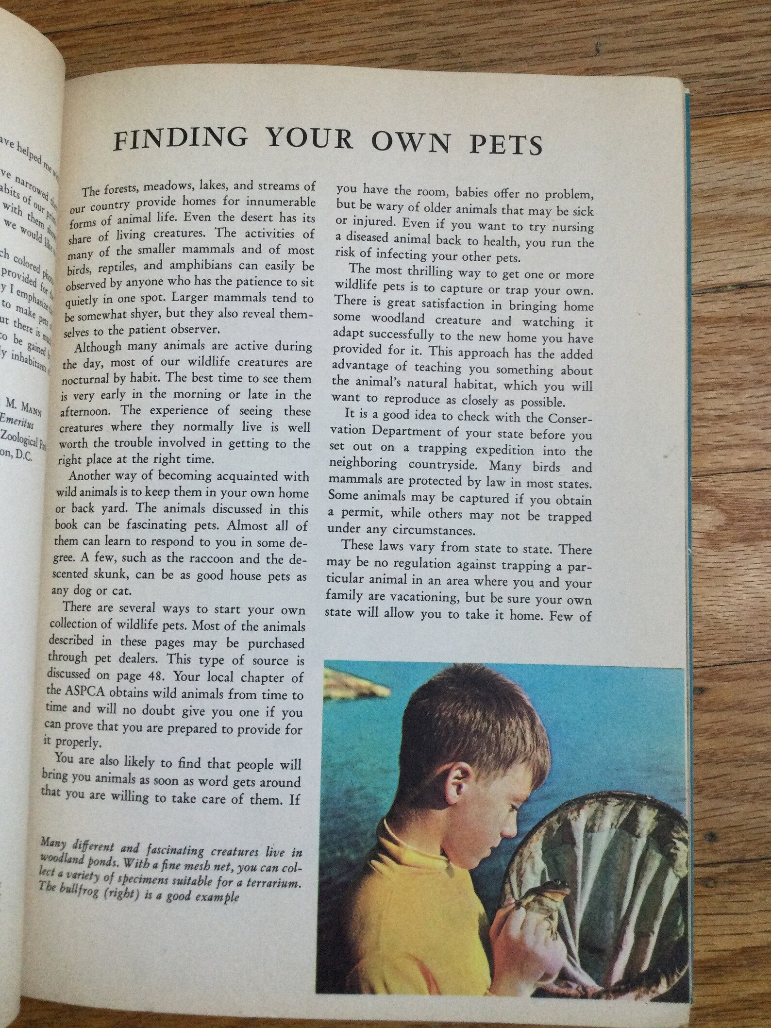 Wild Animal Pets A Golden Hobby Book Roy Pinney Golden - Etsy
