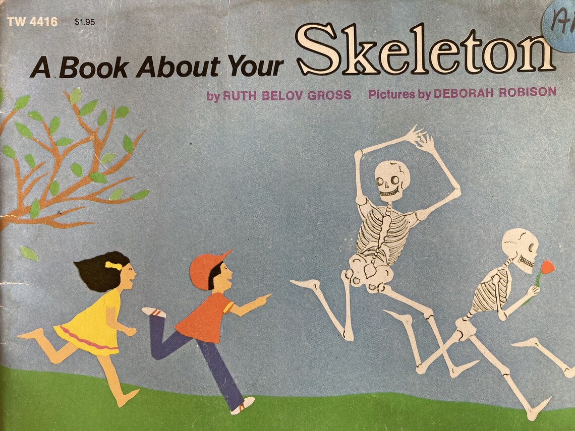 A Book About Your Skeleton Ruth Belov Gross Deborah - Etsy
