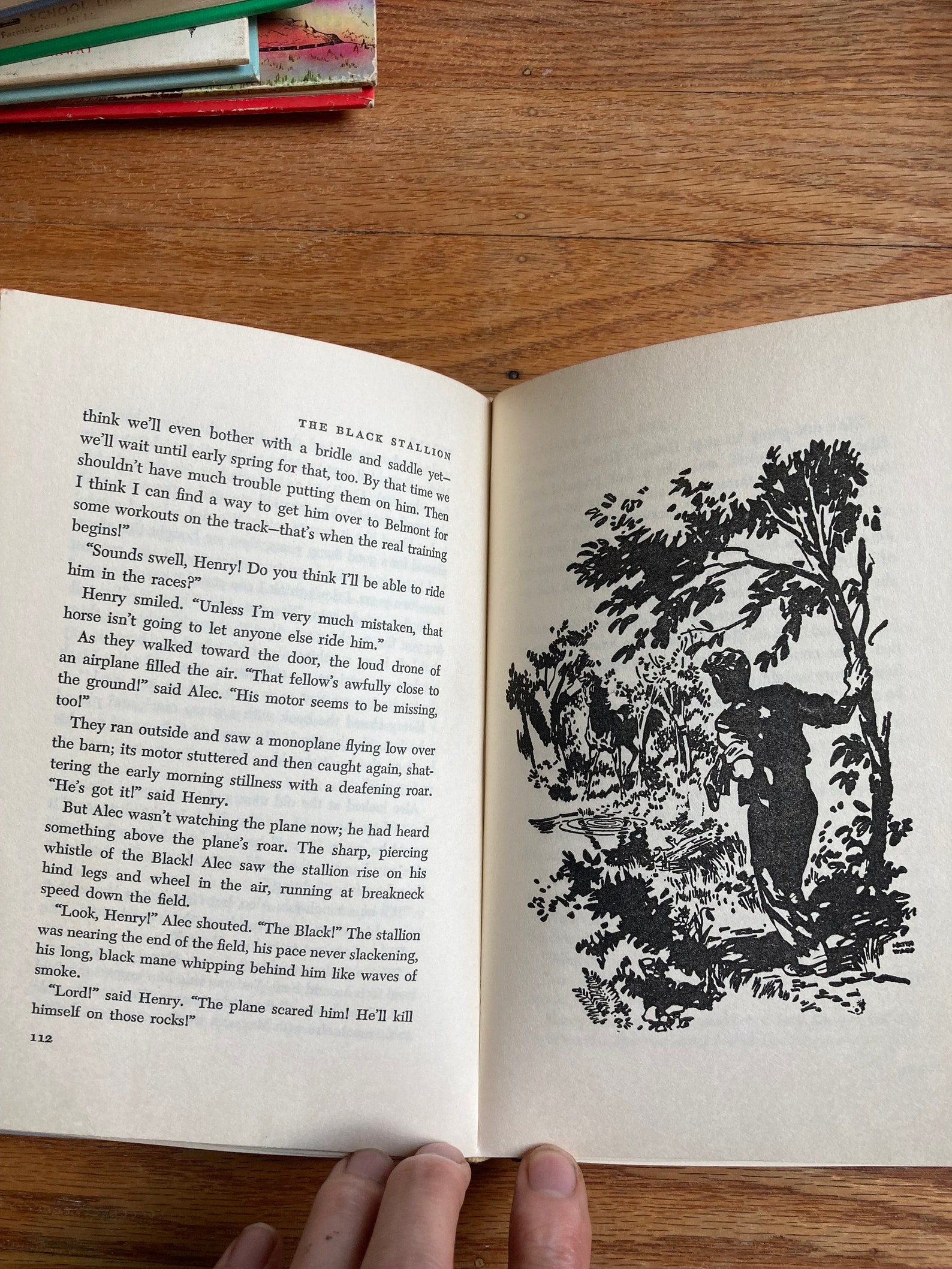 The Black Stallion Walter Farley Keith Ward Junior - Etsy