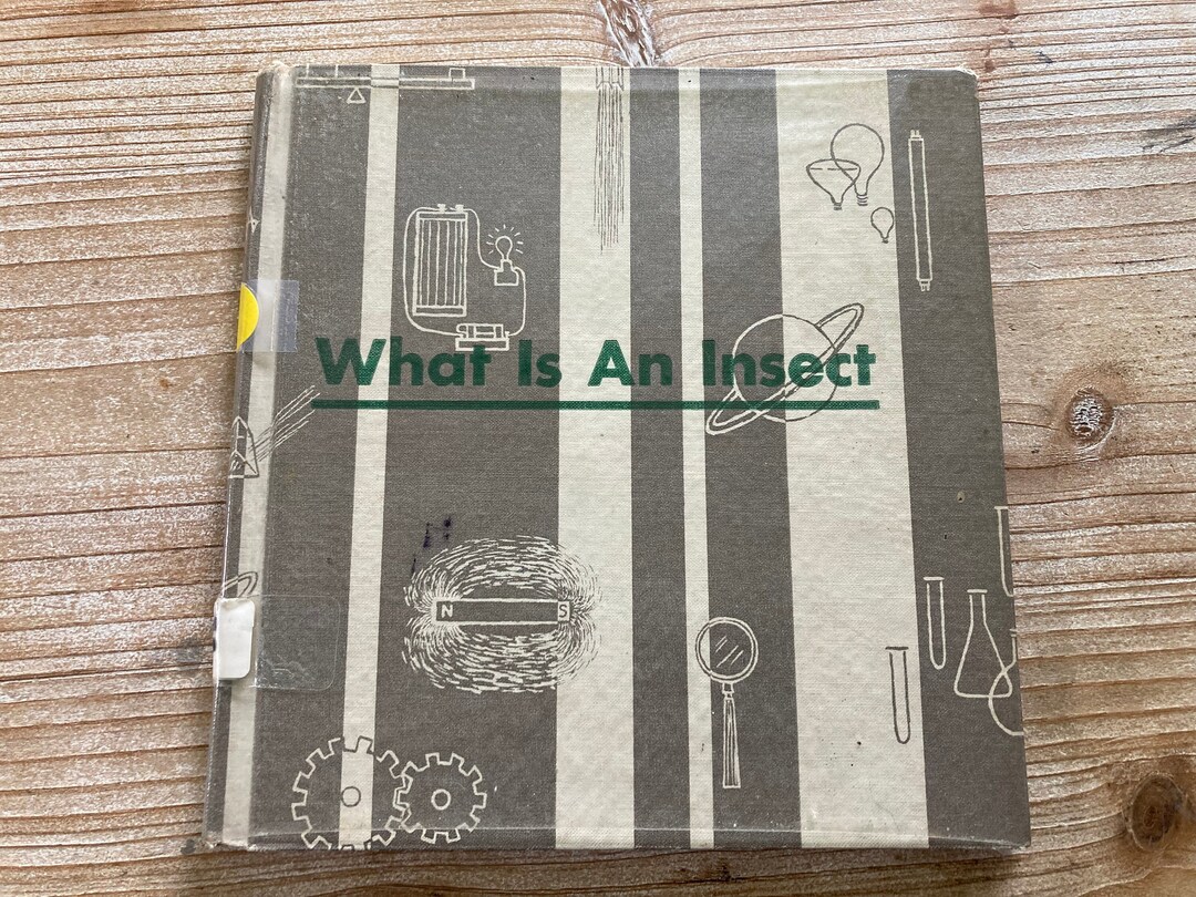 What is an Insect * Charles D Neal * Gregory Orloff * Benefic Press ...