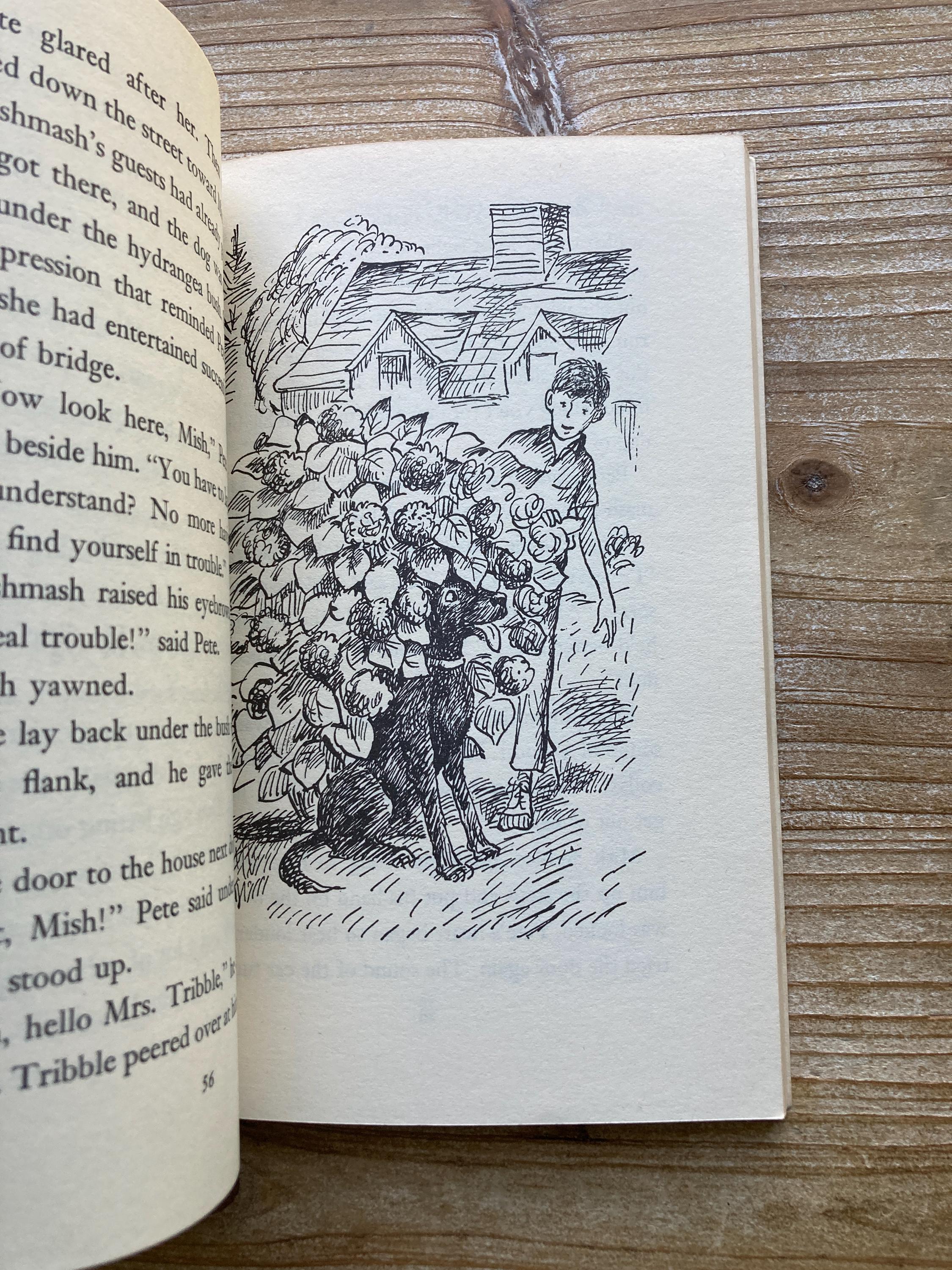 Mishmash and the Sauerkraut Mystery * First Printing * Molly Cone ...