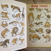 How the Animals Get to the Zoo * Easy Reader * Mary Elting * Stefan ...