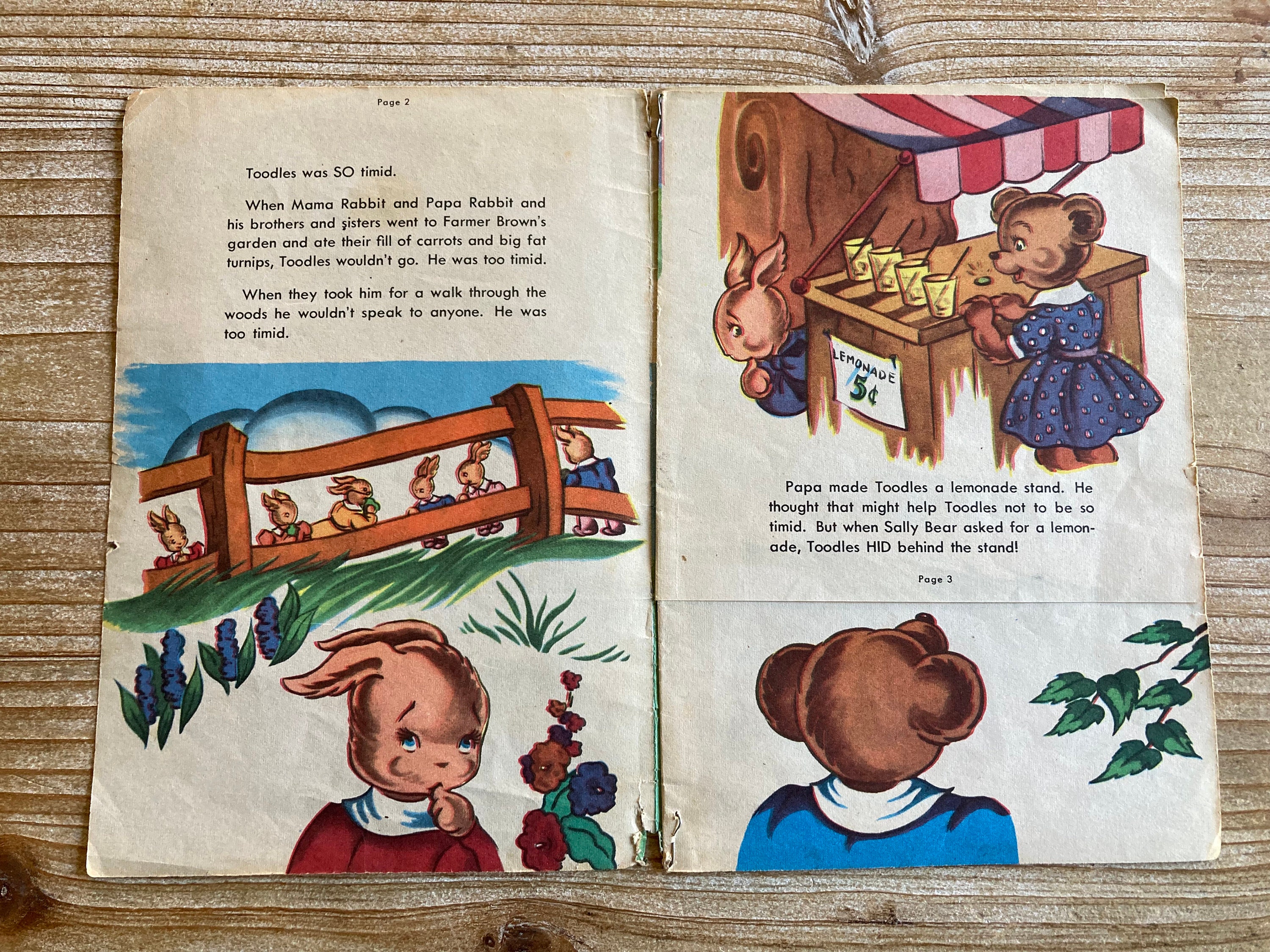 The Timid Bunny * Dorothea J Snow * 1940s * Vintage Kids Book - Etsy