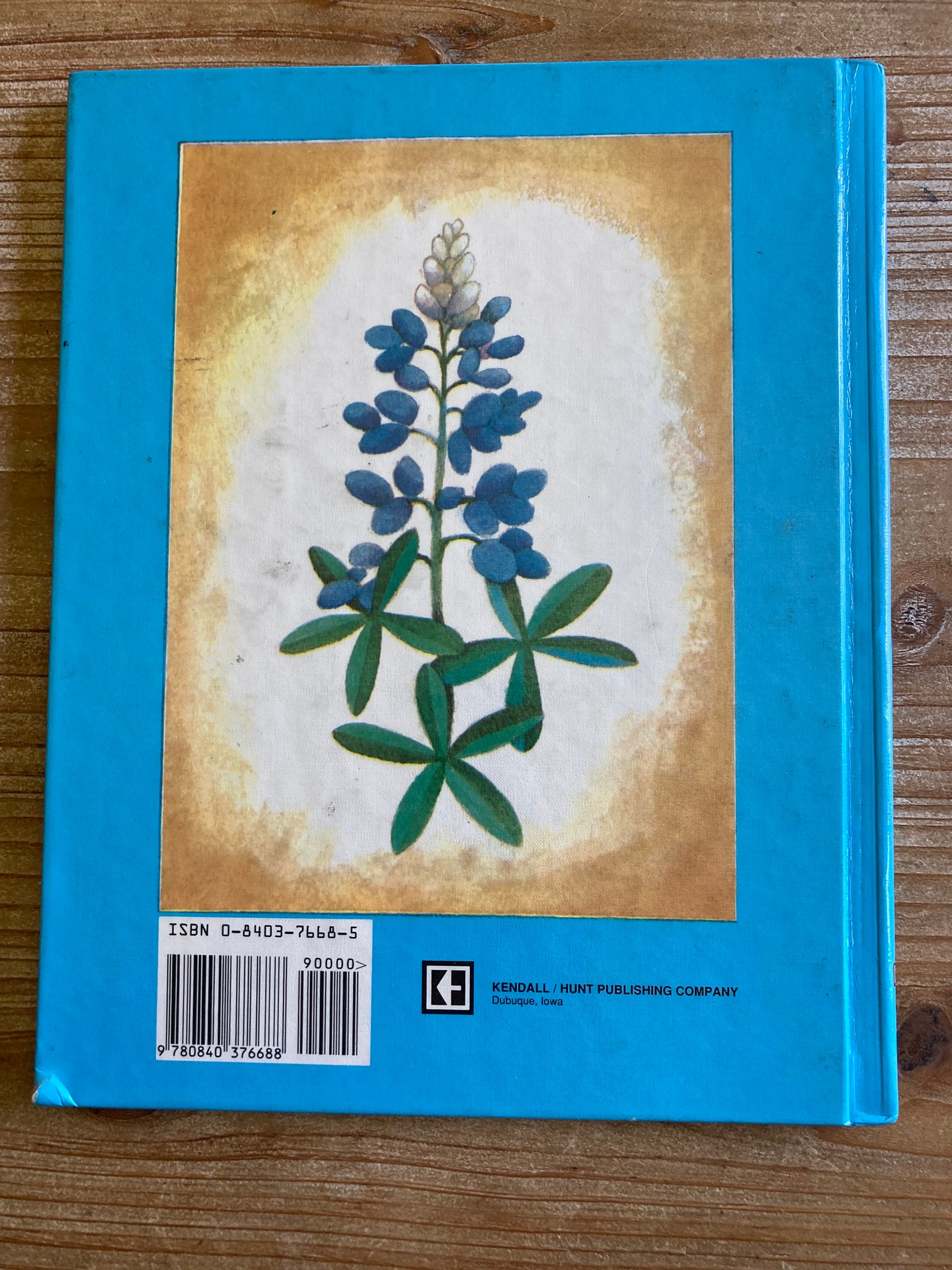 The Legend of the Bluebonnet * an Old Tale of Texas * Tomie De Paola ...