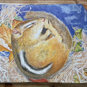 Chipmunk at Hollow Tree Lane * Smithsonian Backyard * First Edition ...