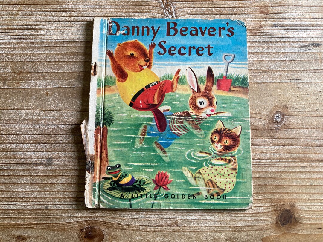 Danny Beavers Secret A Little Golden Book First Edition - Etsy