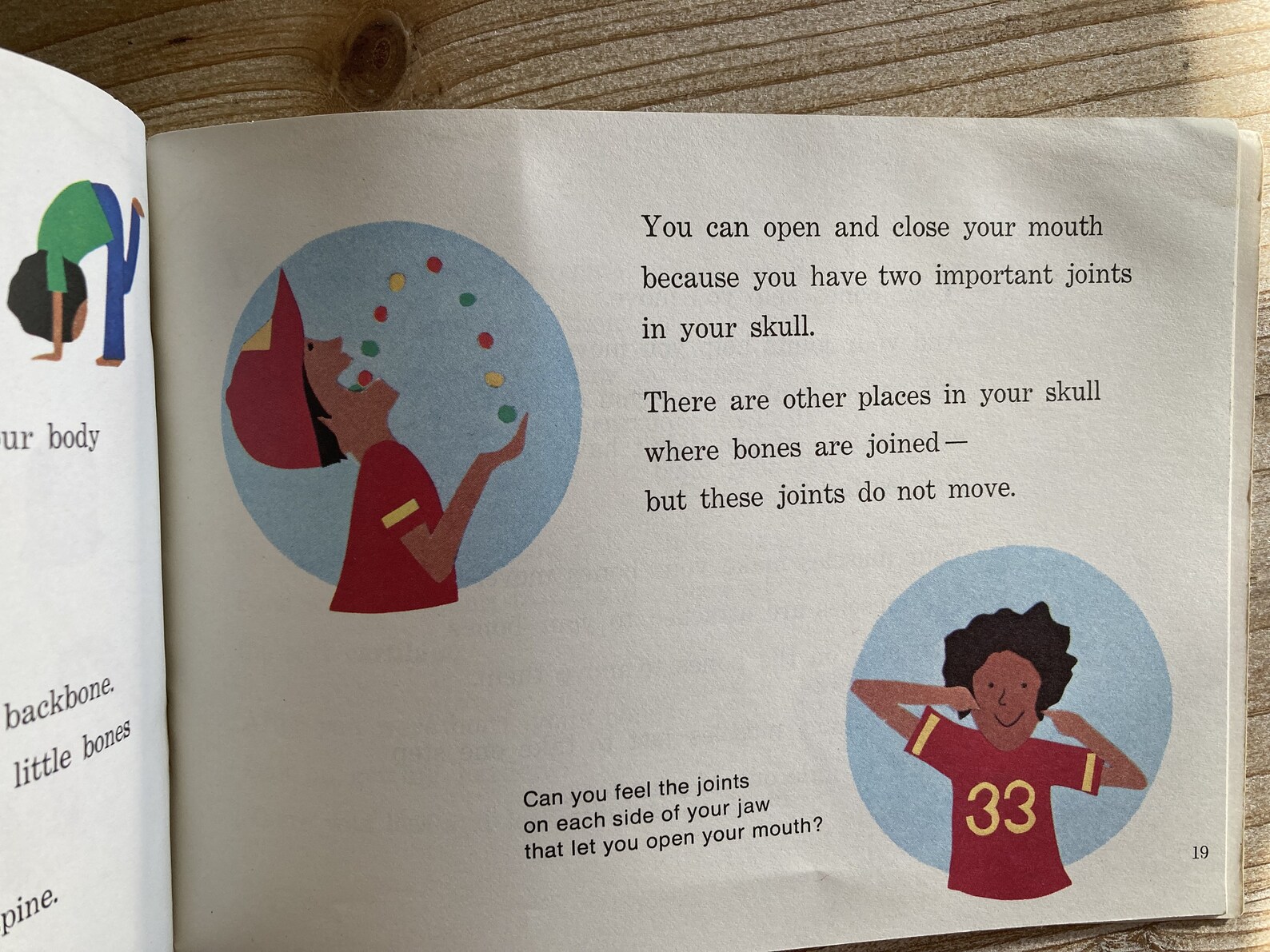 A Book About Your Skeleton Ruth Belov Gross Deborah - Etsy