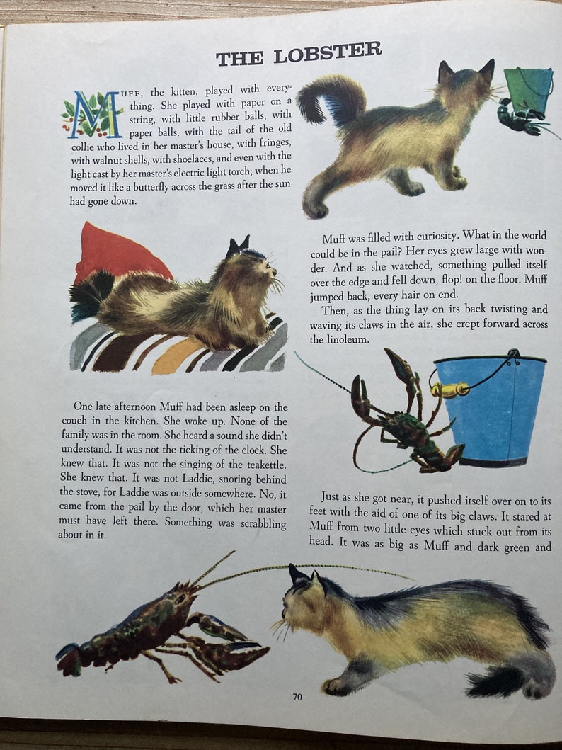 Rojankovsky's Wonderful Picture Book Feodor Rojankovsky - Etsy