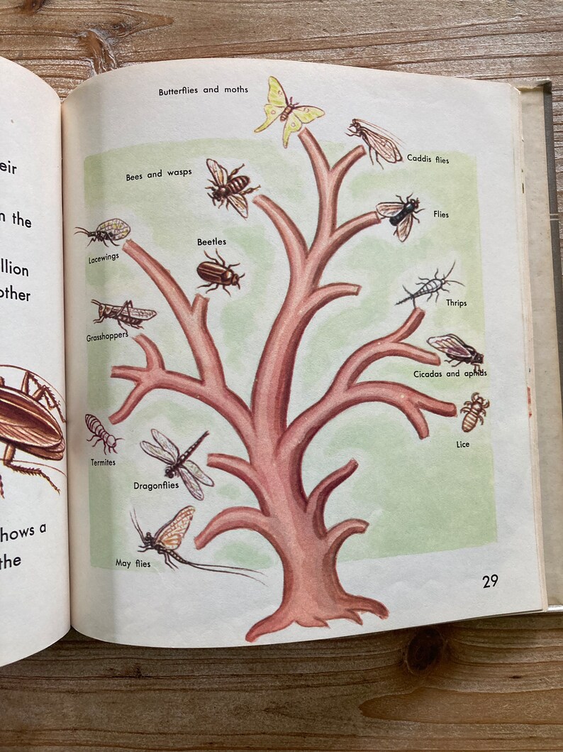 What is an Insect Charles D Neal Gregory Orloff Benefic - Etsy