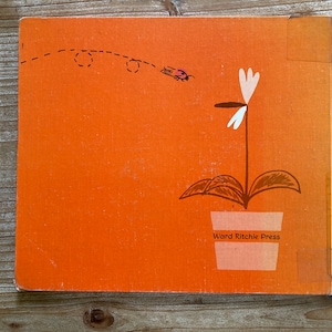 Ladybug or Ladybird * Are They the Same * Observation Series * Marjorie ...