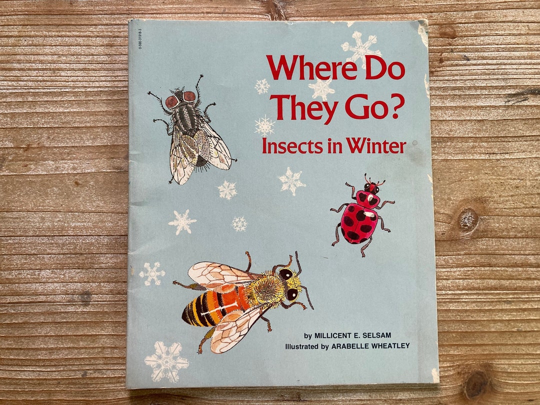 Where Do They Go? Insects in Winter * Millicent E Selsam * Arabelle ...