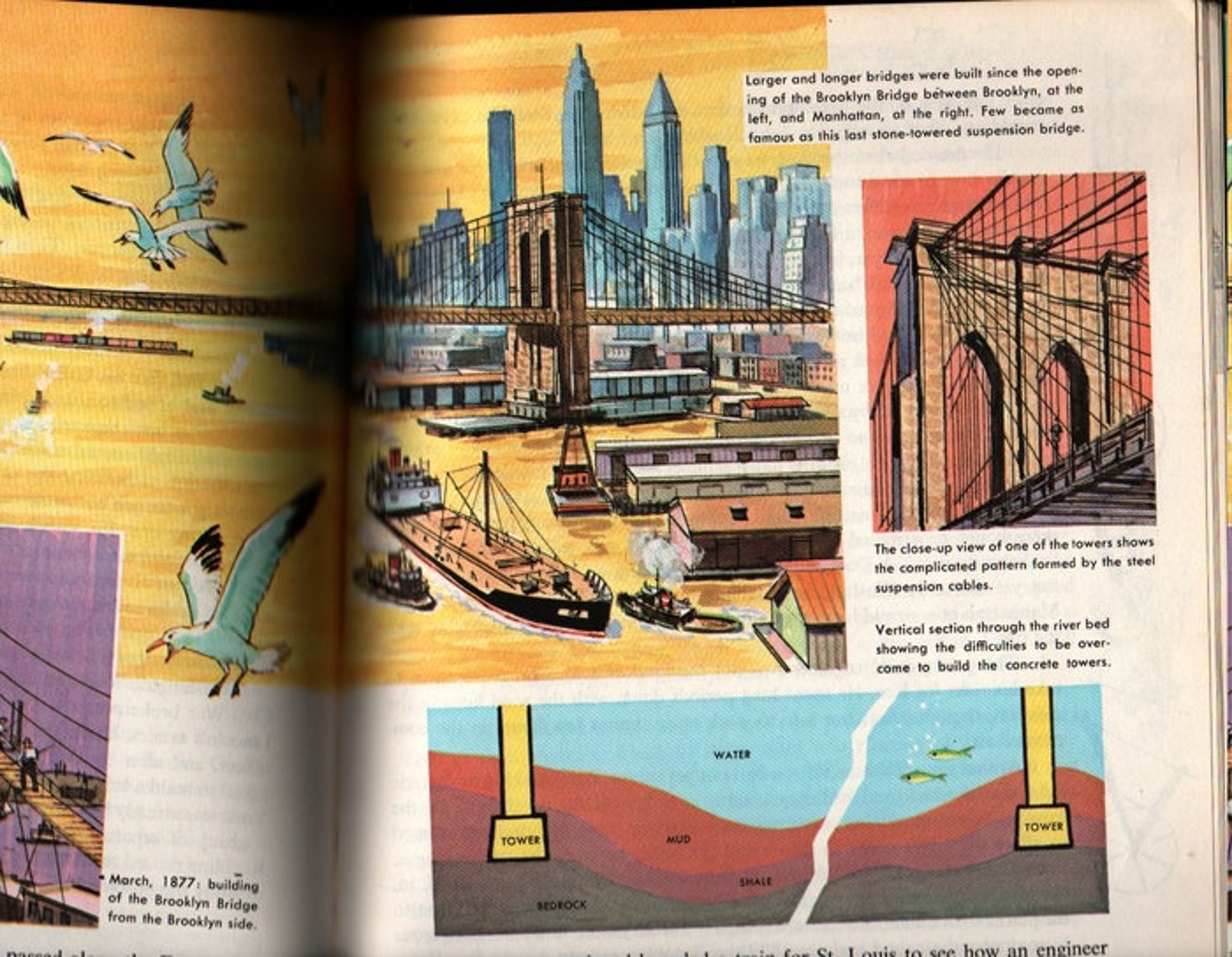 The How and Why Wonder Book of Building Donald Barr Robert | Etsy