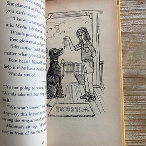 Mishmash and the Big Fat Problem * Molly Cone * Leonard Shortall ...