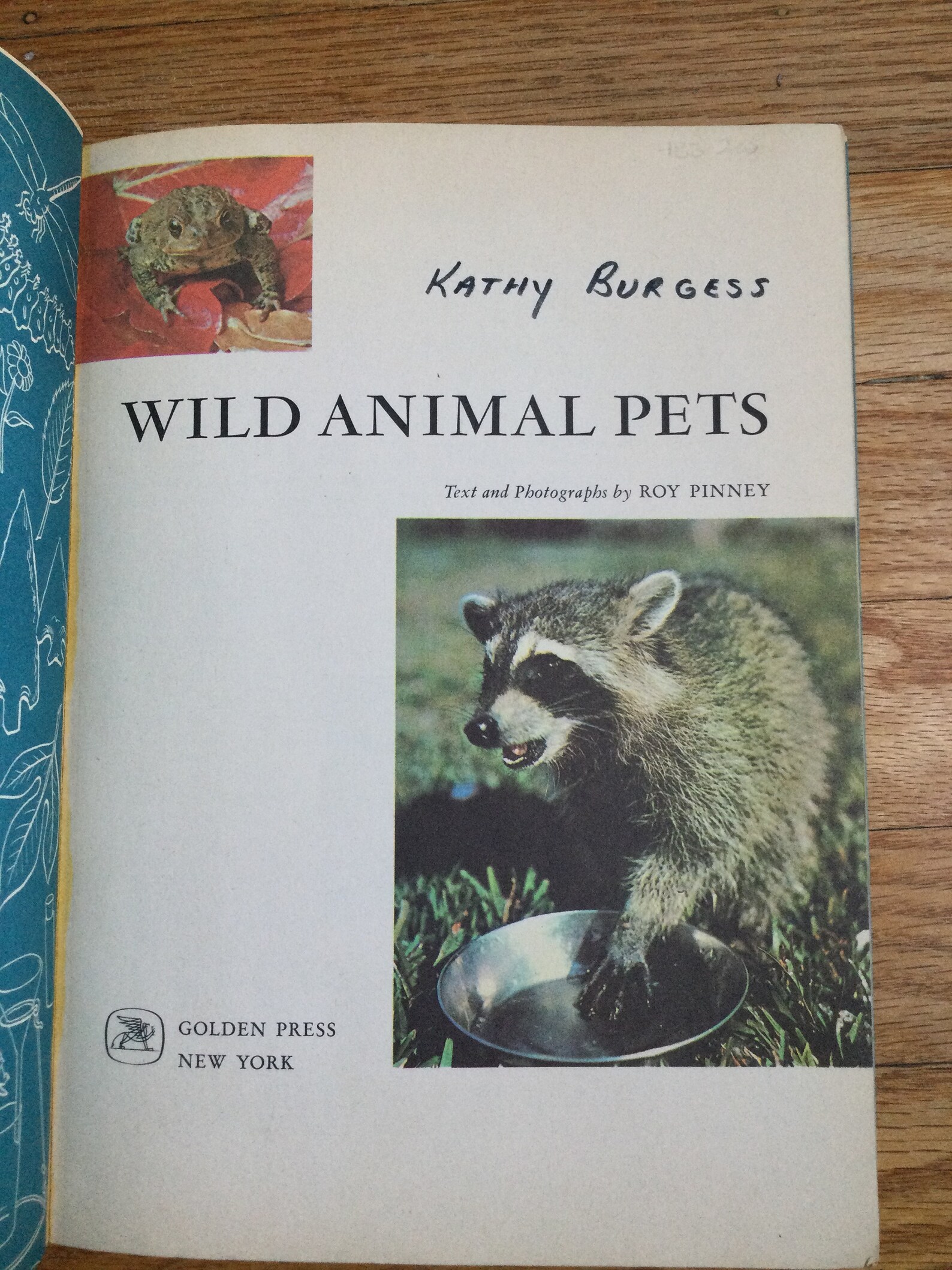 Wild Animal Pets A Golden Hobby Book Roy Pinney Golden | Etsy