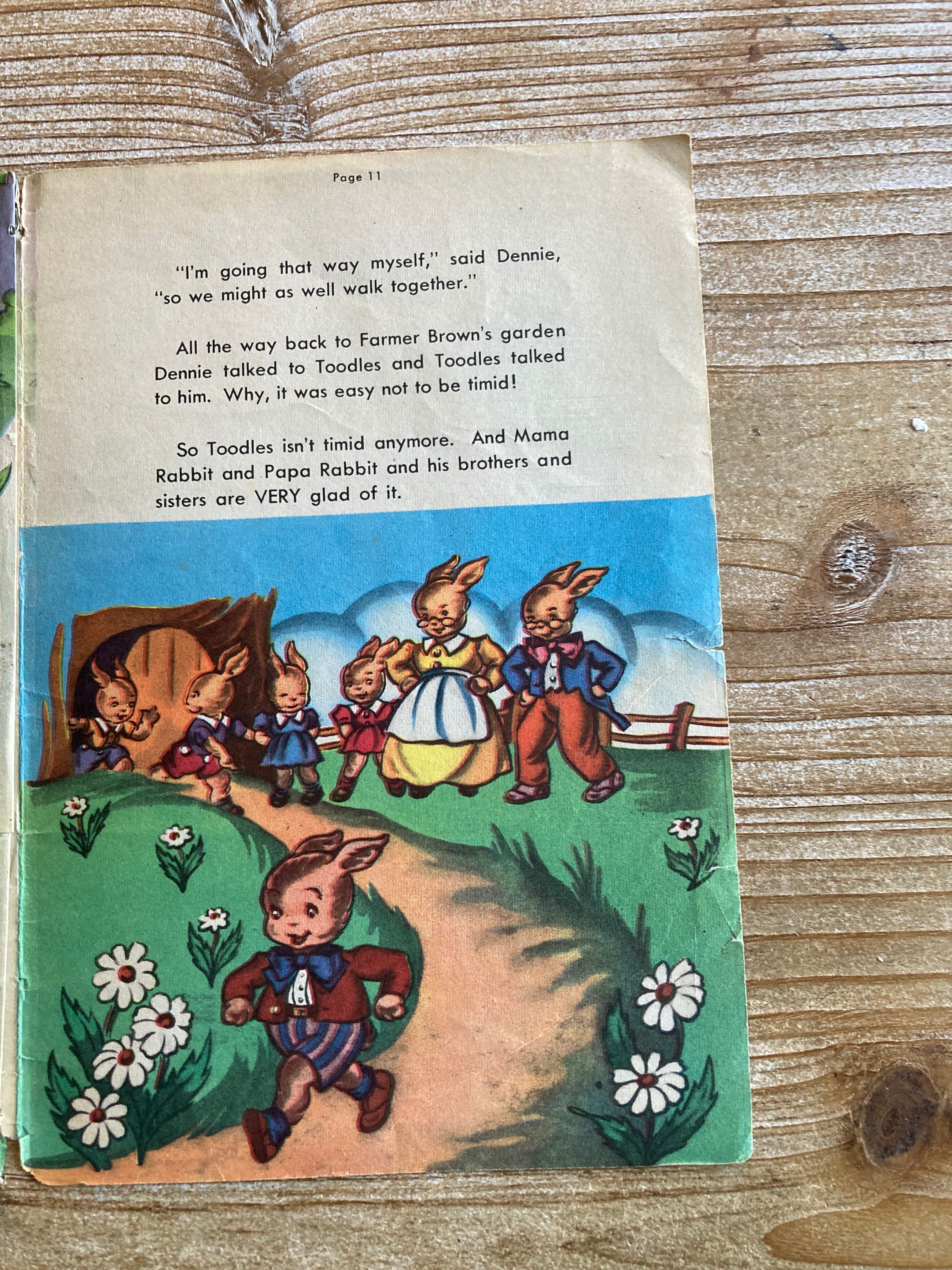 The Timid Bunny * Dorothea J Snow * 1940s * Vintage Kids Book - Etsy