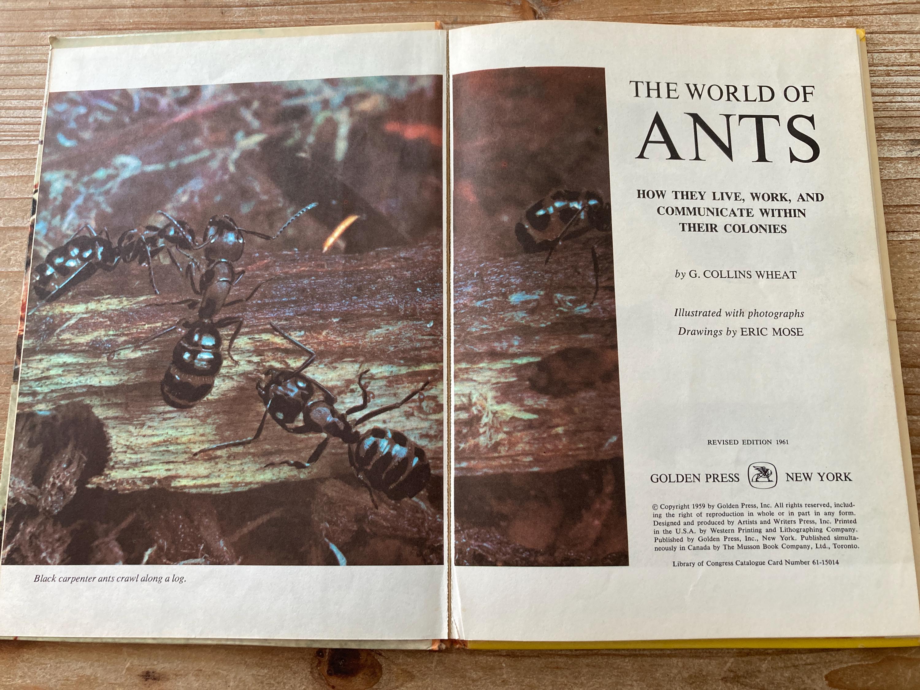 The World of Ants * Golden Library of Knowledge * G Collins Wheat ...