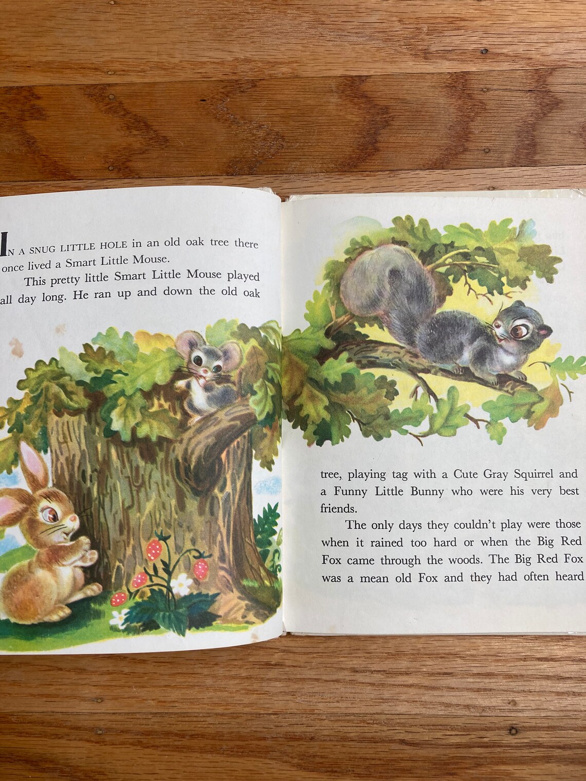 The Smart Little Mouse A Rand Mcnally Book Karl Sherwan - Etsy