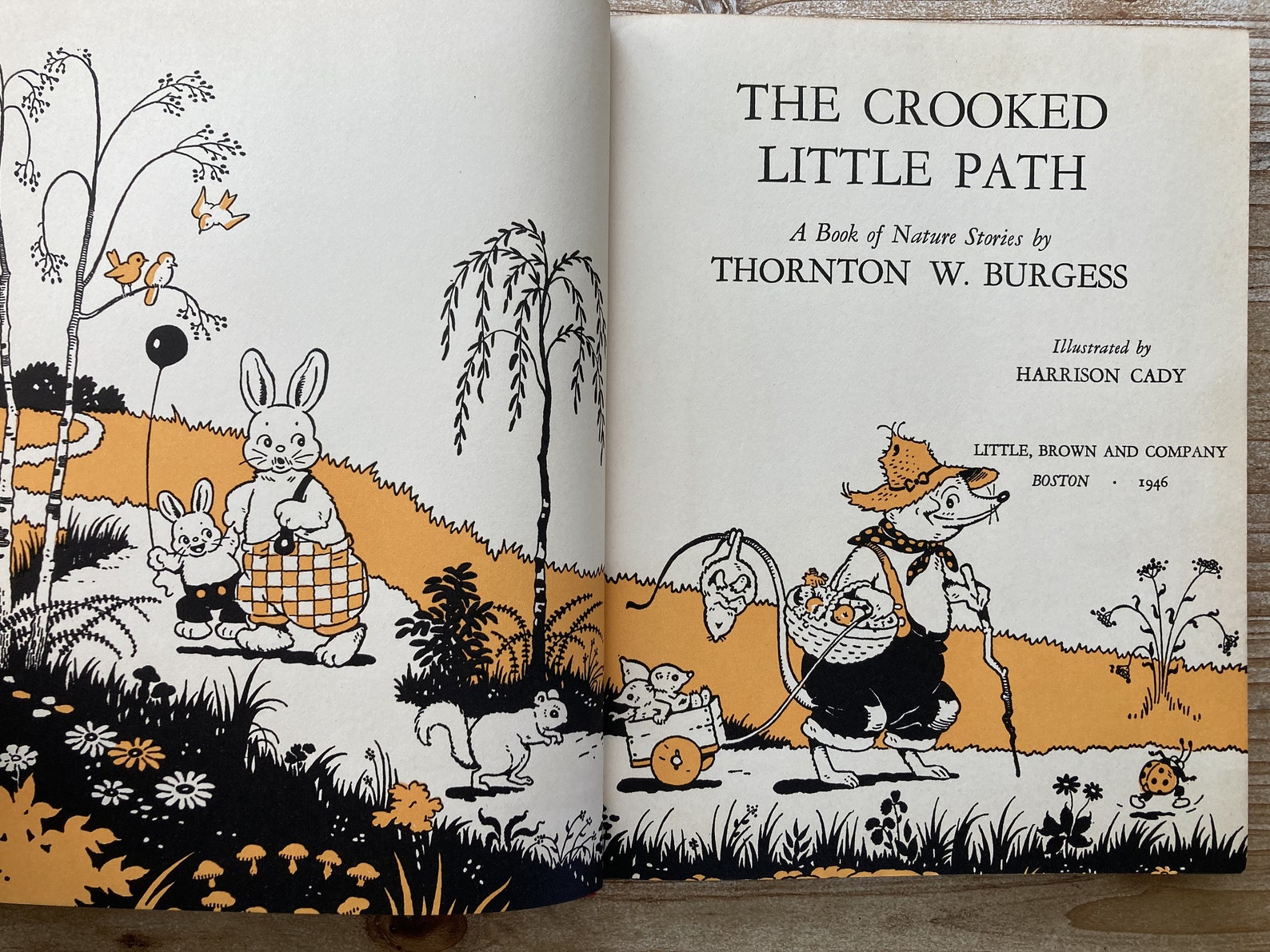 The Crooked Little Path First Edition Thornton W Burgess - Etsy