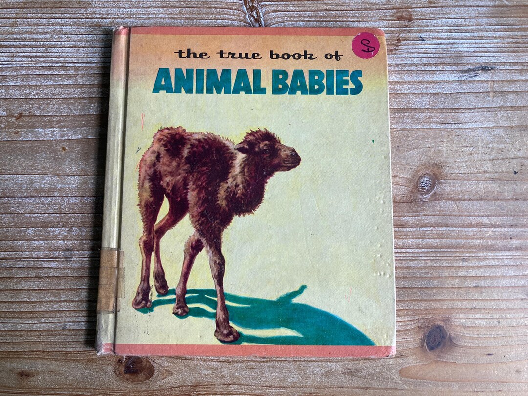 The True Book of Animal Babies, Illa Podendorf, Pauline Adams ...