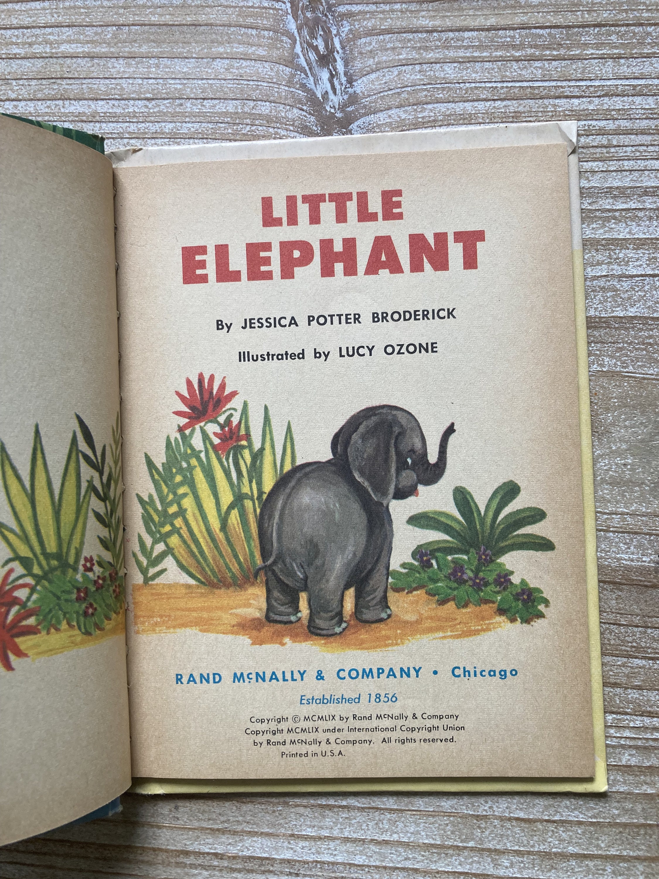 Little Elephant * Junior Elf Book * Jessica Potter Broderick * Lucy ...