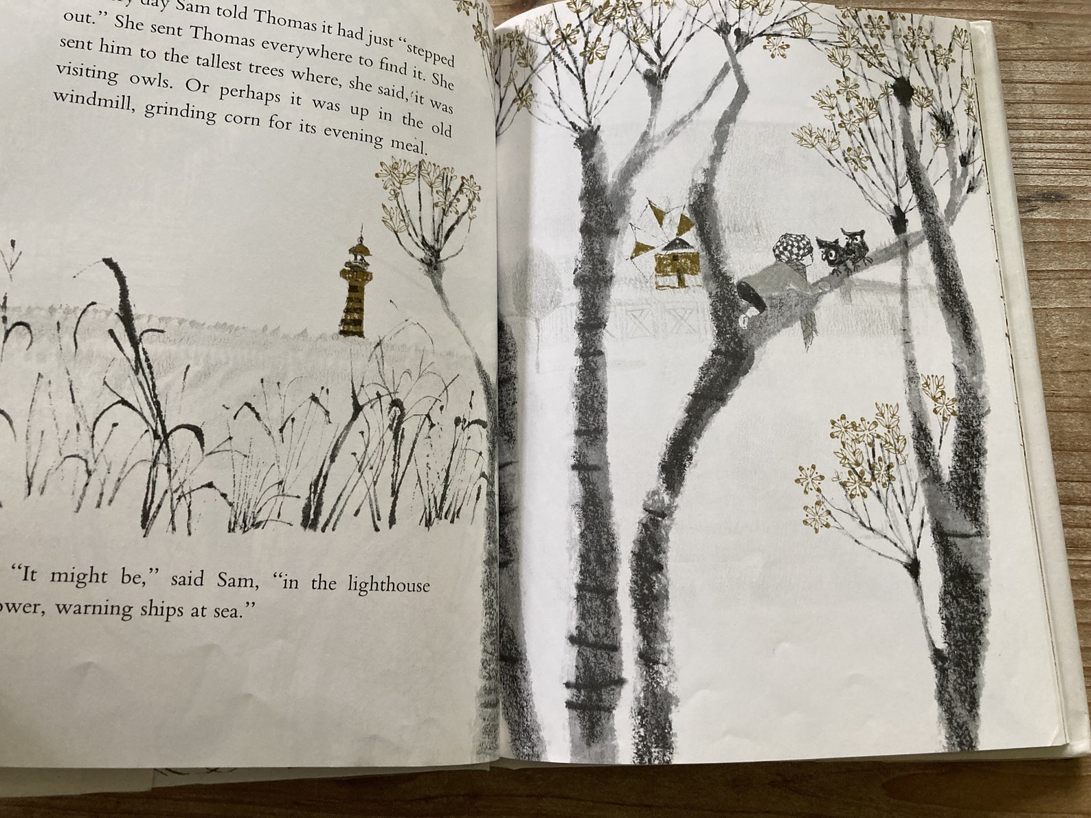 Sam, Bangs & Moonshine * Caldecott Medal * Evaline Ness * Henry Holt ...