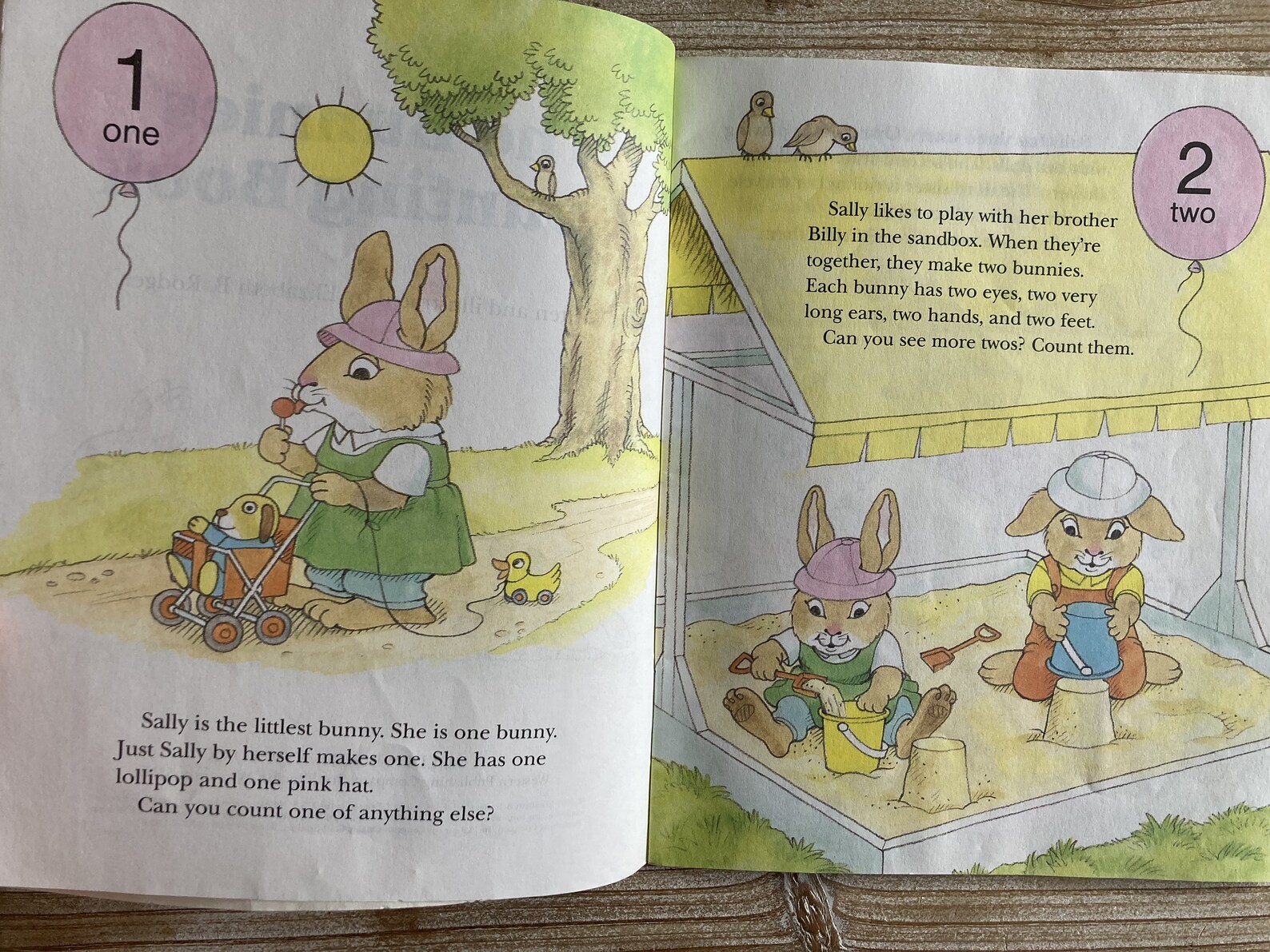 The Bunnies Counting Book Elizabeth B Rodger Western - Etsy