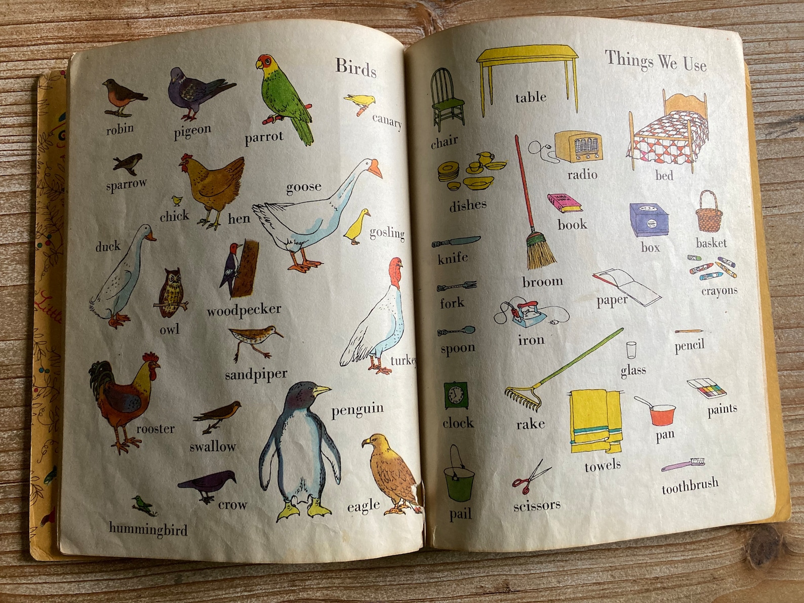 The Little Golden Book of Words * Selma Lola Chambers * Gertrude ...