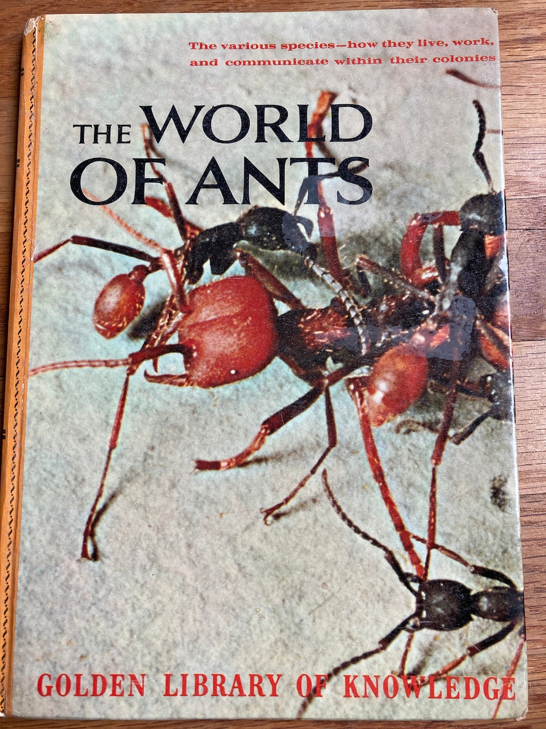 The World of Ants * Golden Library of Knowledge * G Collins Wheat ...