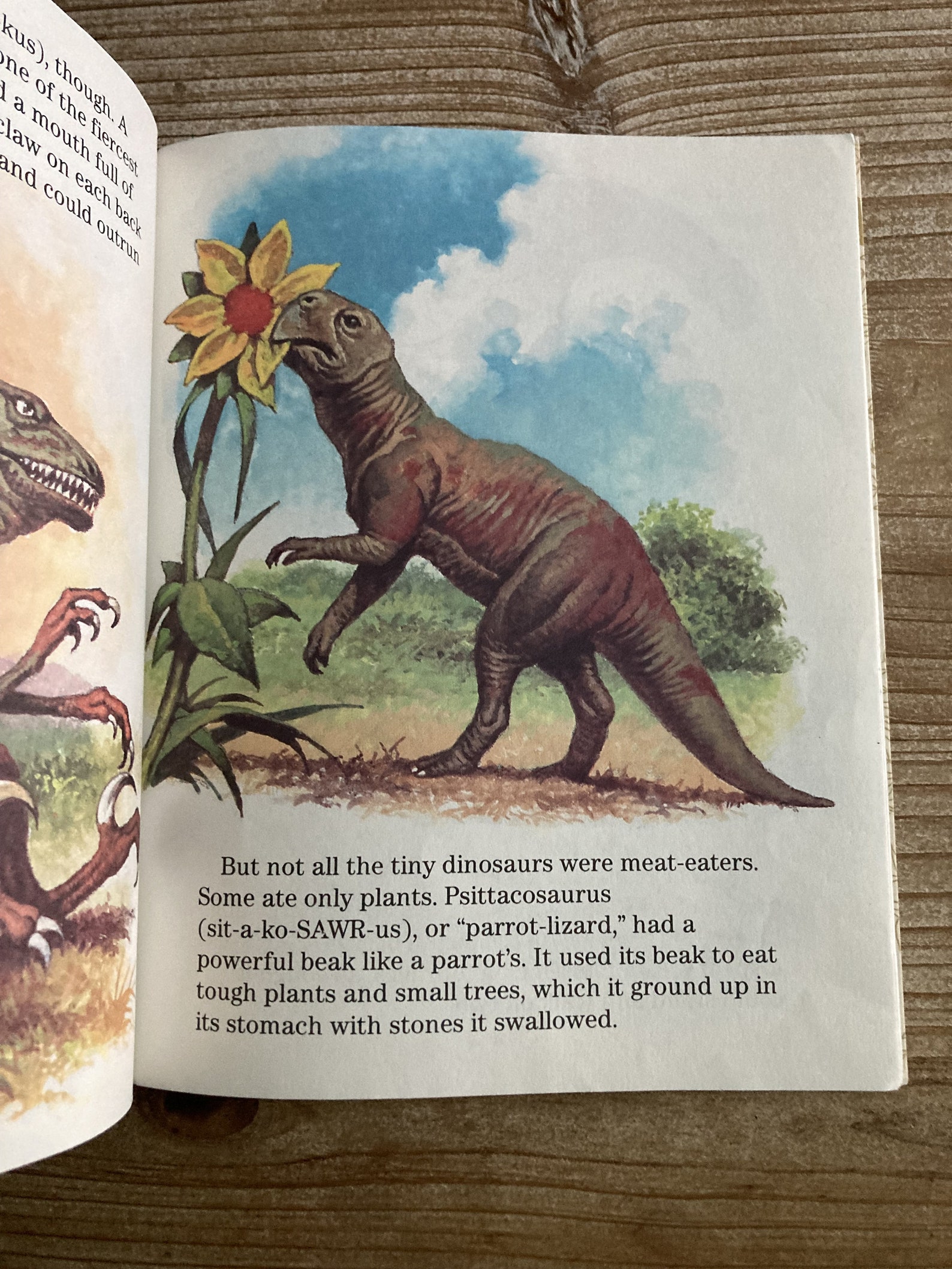 Tiny Dinosaurs * A Little Golden Book * Steven Lindblom * Gino D ...