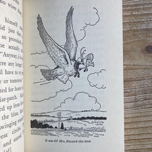 The Adventures of Ol Mistah Buzzard * the Bedtime Story Books ...