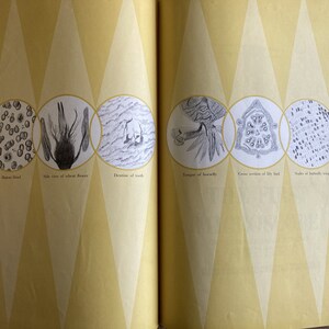 The First Microscope Hal Dareff Alex Kenne Parents Magazine Press 1962 ...