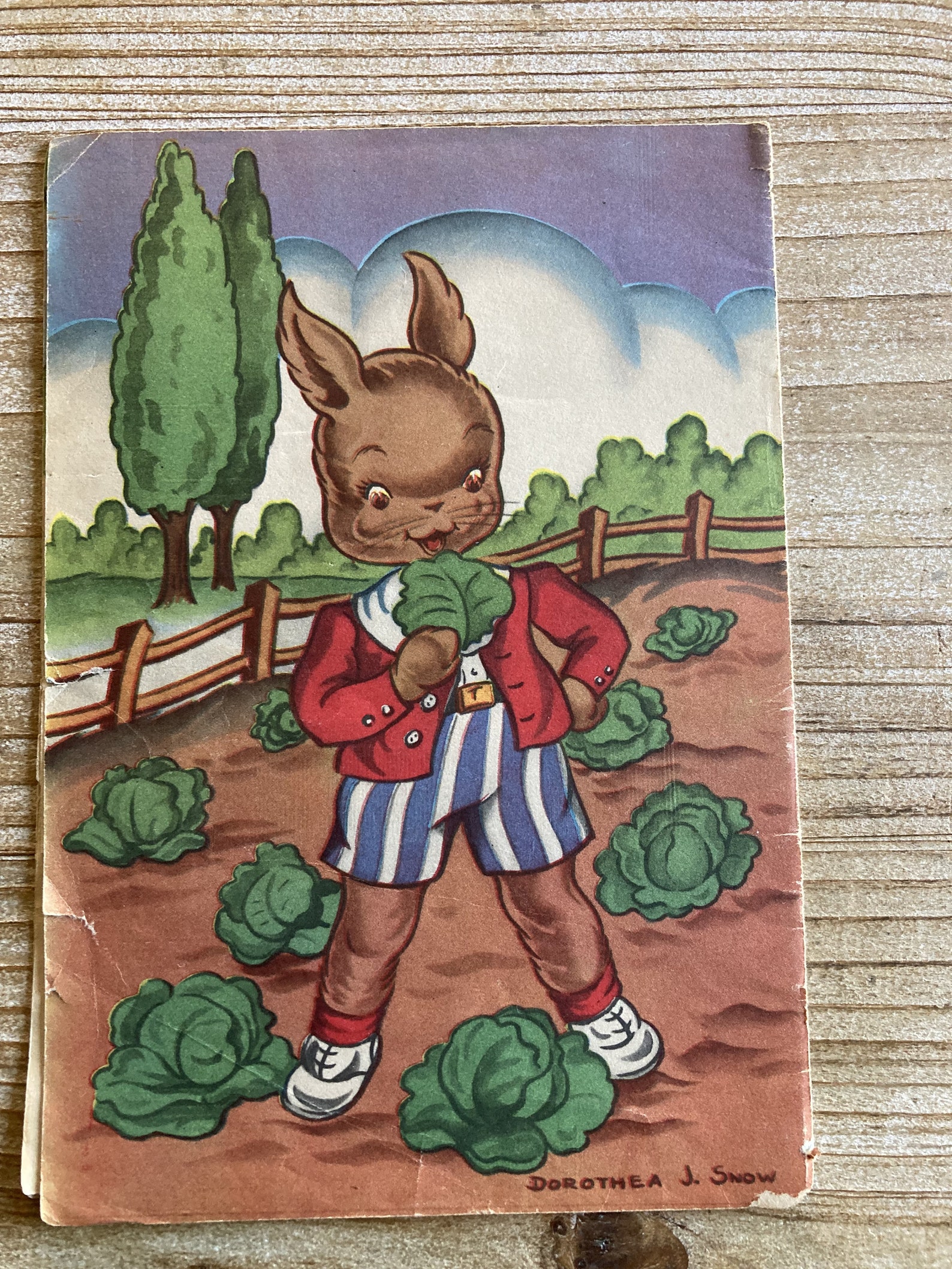 The Timid Bunny * Dorothea J Snow * 1940s * Vintage Kids Book - Etsy