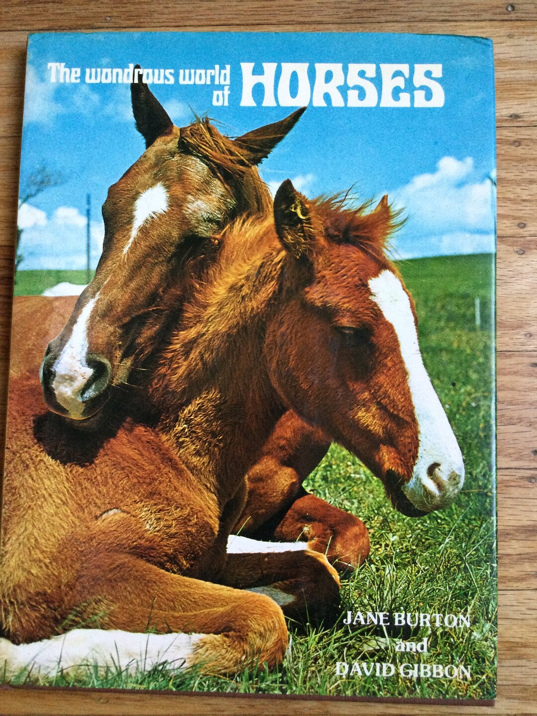The Wondrous World of Horses Jane Burton and David Gibbon Leon Amiel ...