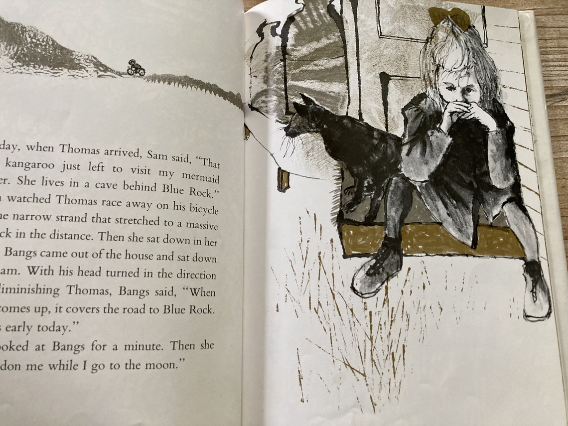 Sam, Bangs & Moonshine * Caldecott Medal * Evaline Ness * Henry Holt ...